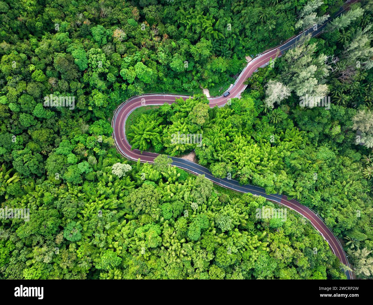 View from above, stunning aerial view of a road surrounded by green ...