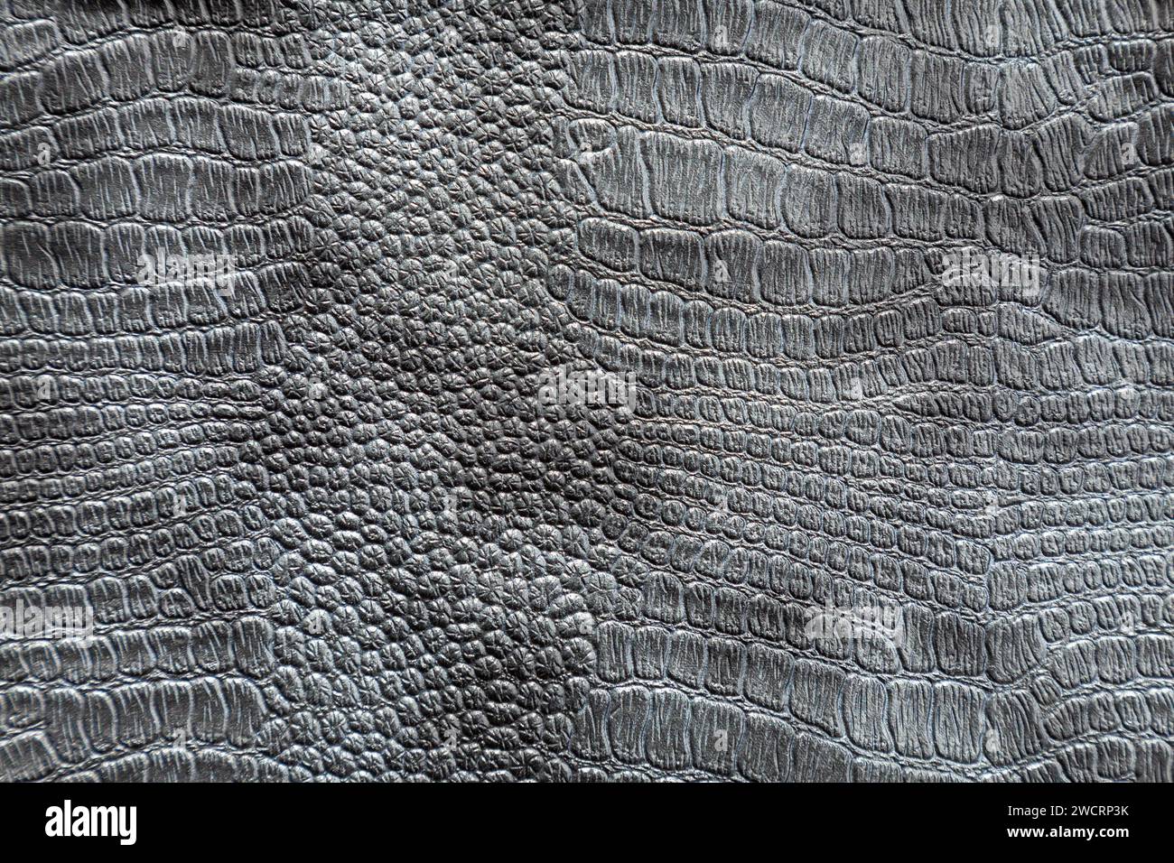 Background image - gray crocodile skin texture Stock Photo - Alamy
