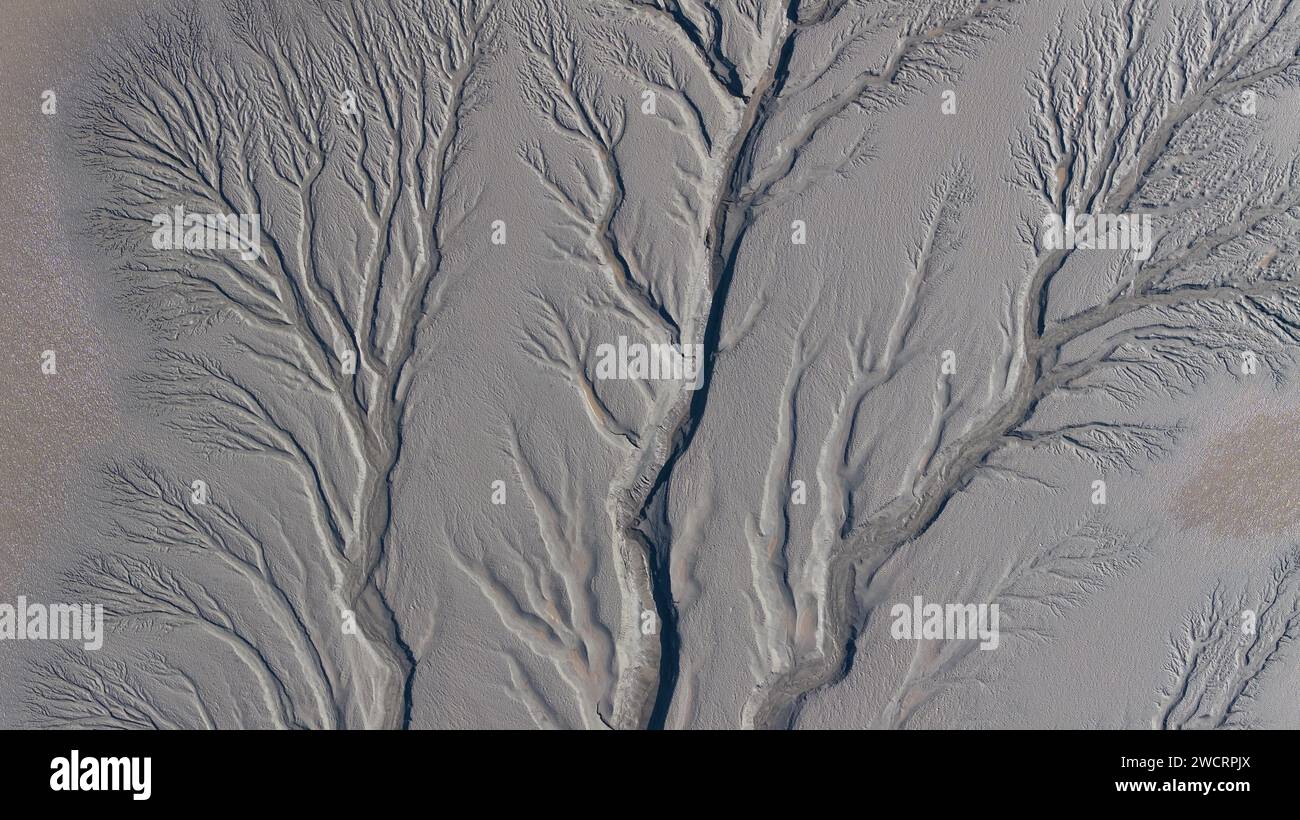 Aerial photos show the tidal-flat presenting a landscape of forests in ...