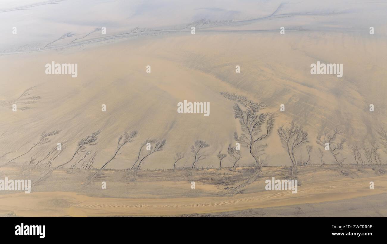 Aerial photos show the tidal-flat presenting a landscape of forests in ...