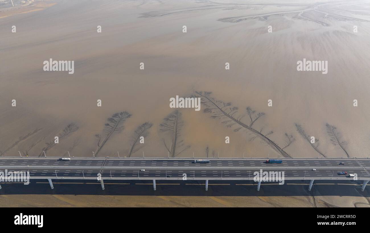 Aerial photos show the tidal-flat presenting a landscape of forests in ...