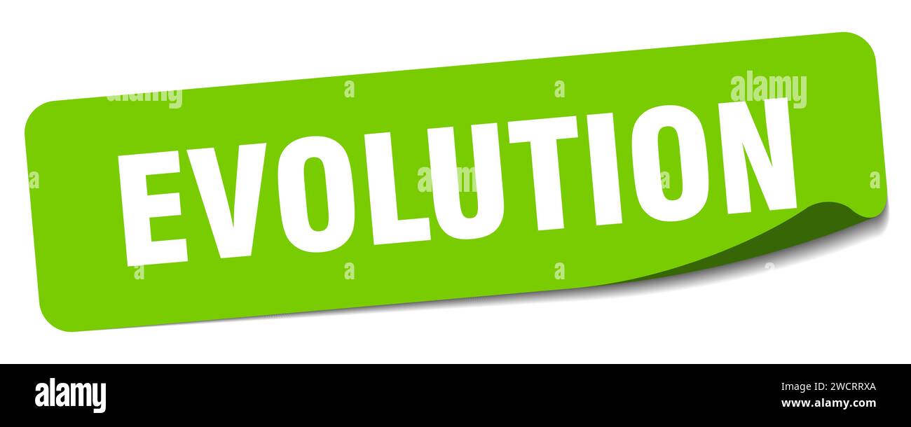 evolution sticker. evolution rectangular label isolated on white ...