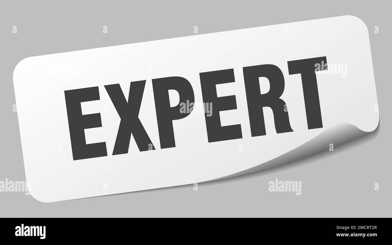 expert sticker. expert rectangular label isolated on white background ...