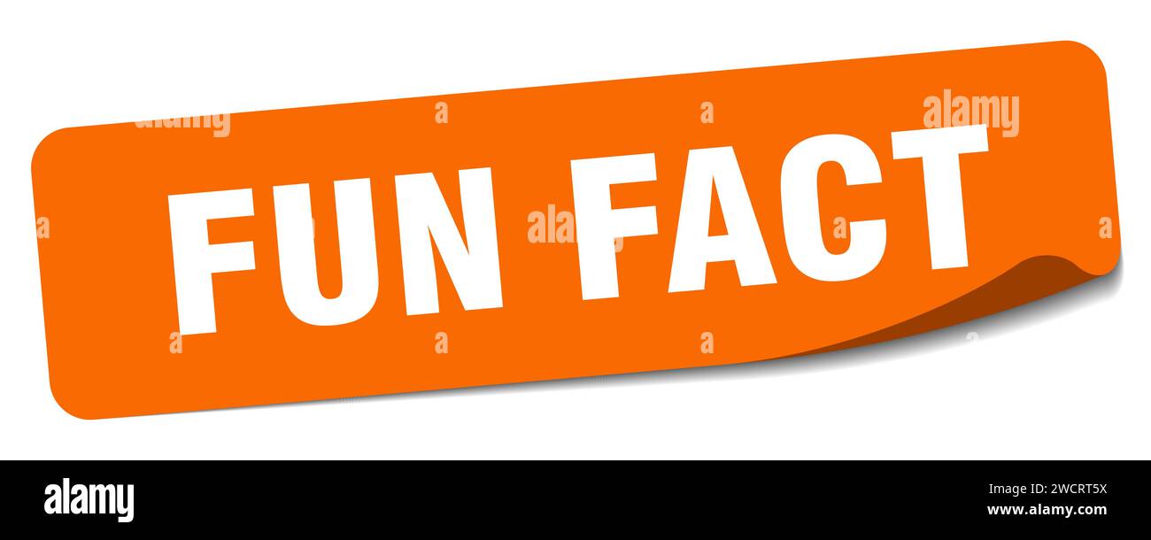 fun fact sticker. fun fact rectangular label isolated on white ...