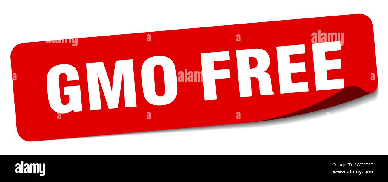 gmo free sticker. gmo free rectangular label isolated on white ...
