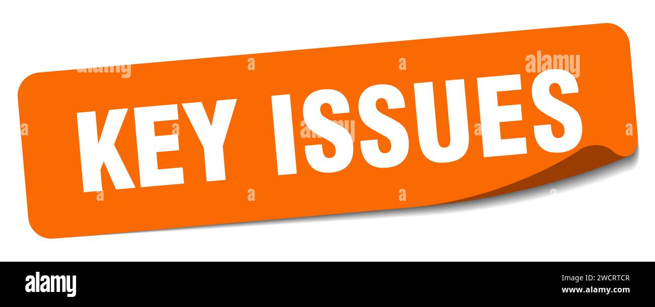 key issues sticker. key issues rectangular label isolated on white ...