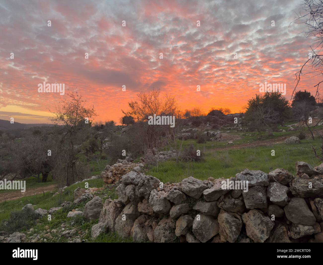 Remains of agricultural terraces of the former Palestinian village ...
