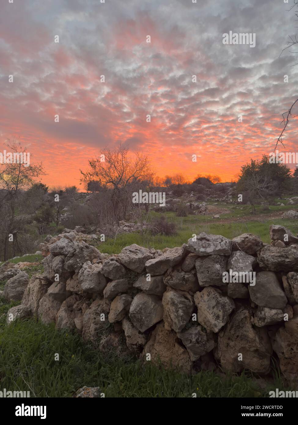 Remains of agricultural terraces of the former Palestinian village ...
