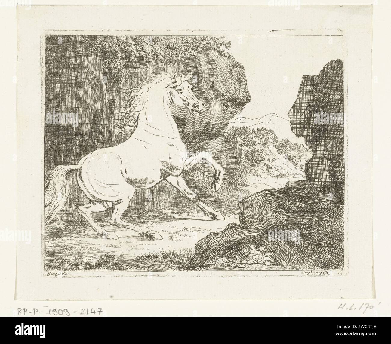 Bouncing white stallion, Ernst Willem Jan Bagelaar, after Tethart ...