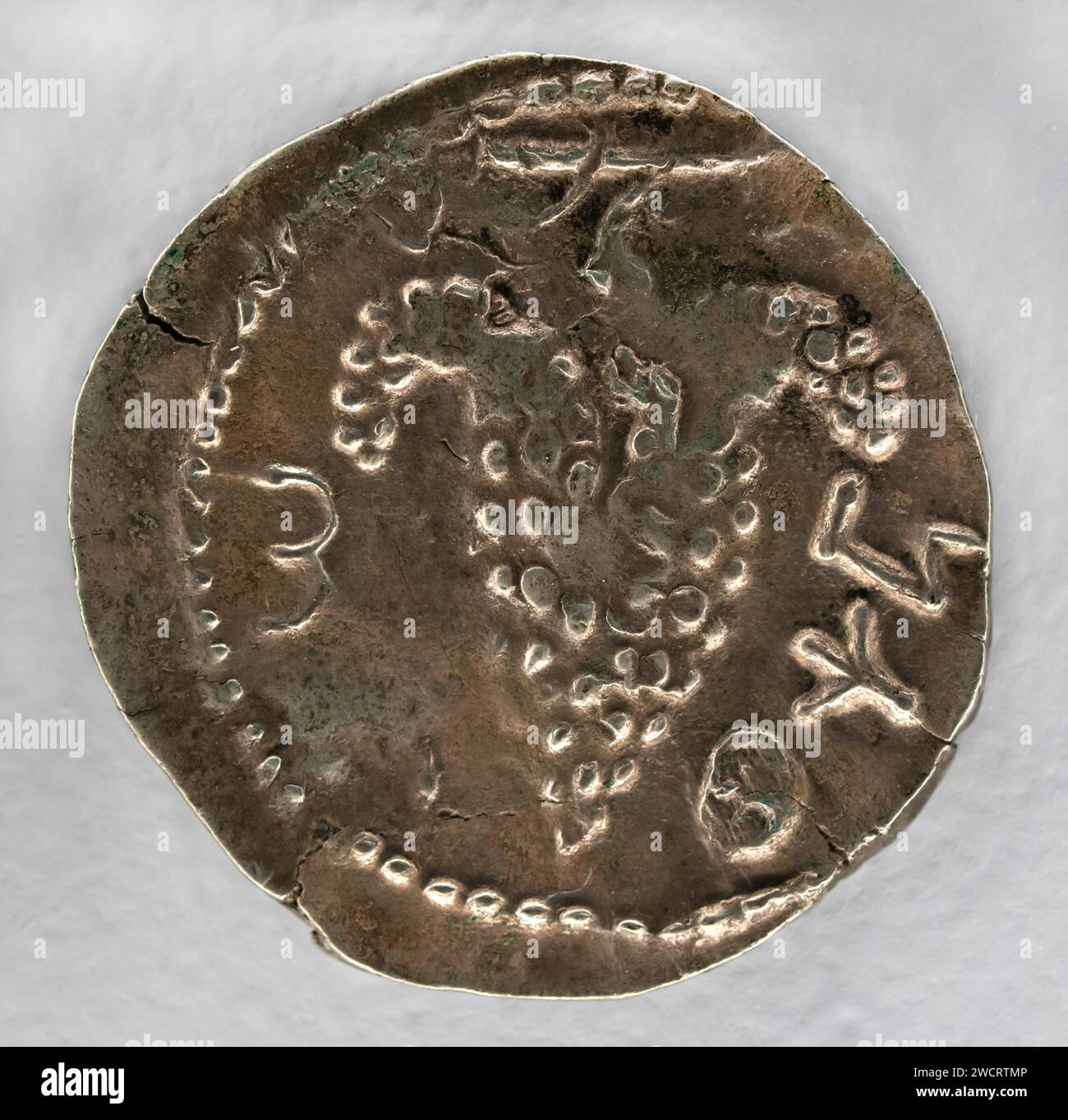 Ancient bronze coin bearing image of grapes of the Bar Kokhba revolt ...