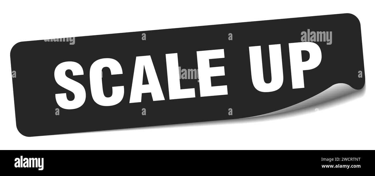 scale up sticker. scale up rectangular label isolated on white ...
