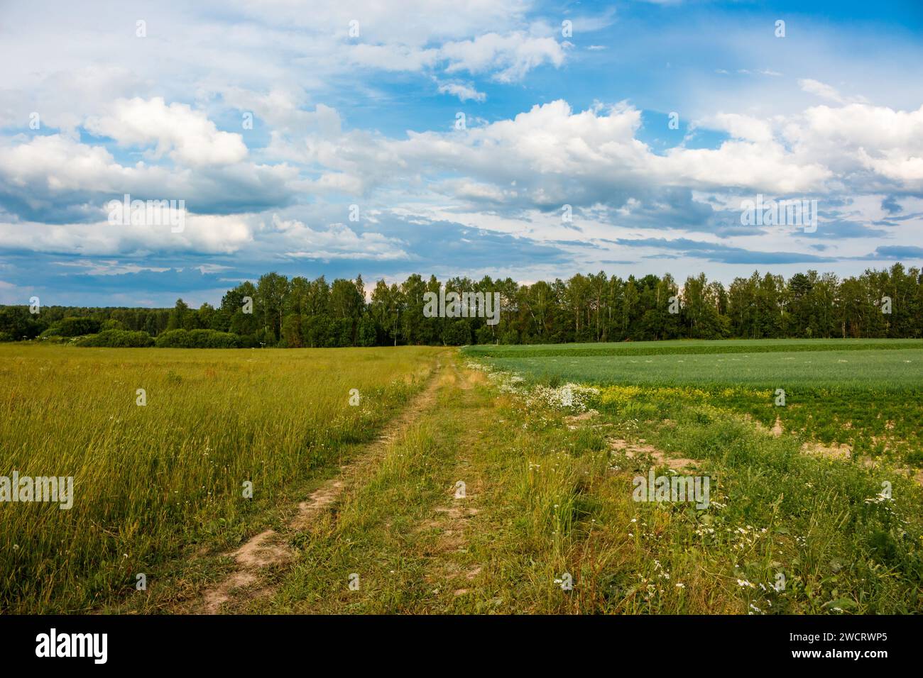 Farming system hi-res stock photography and images - Alamy