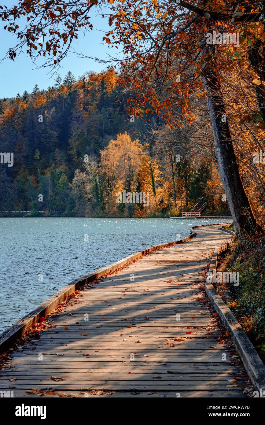 Peaceful wooden trail meandering hi-res stock photography and images ...
