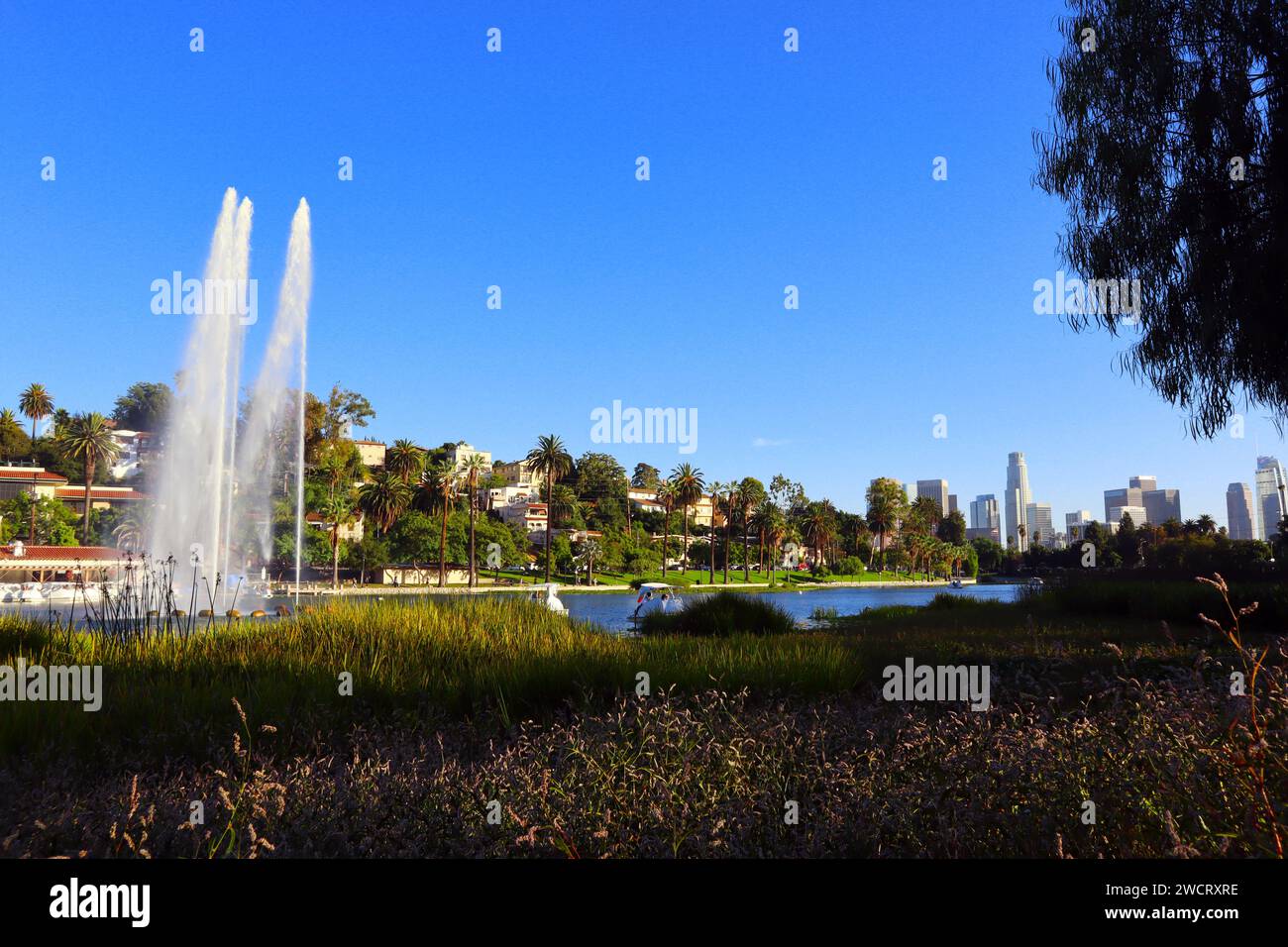 Los Angeles, California: Echo Park Lake, lake and urban park in the ...
