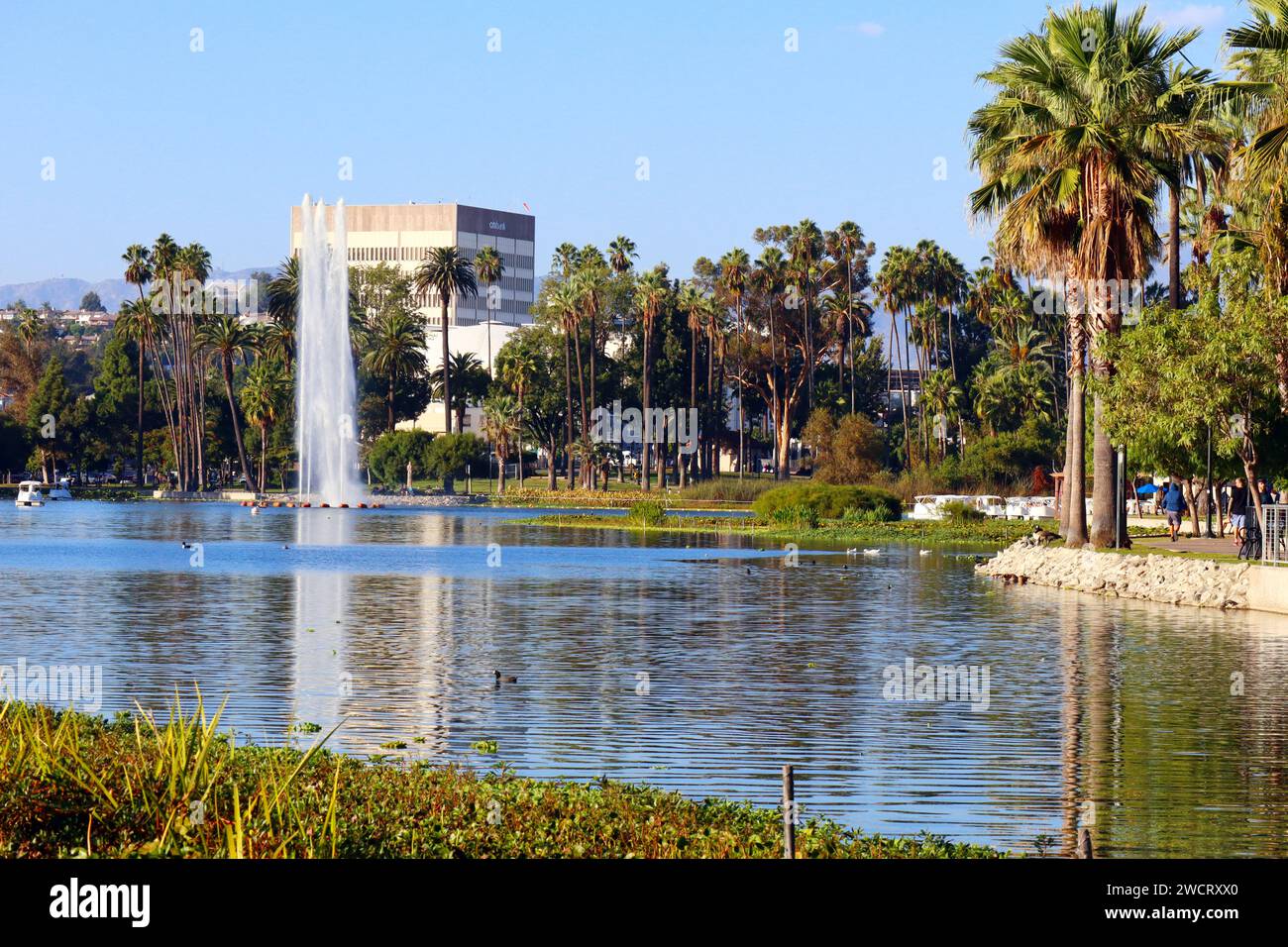 Los Angeles, California: Echo Park Lake, lake and urban park in the ...