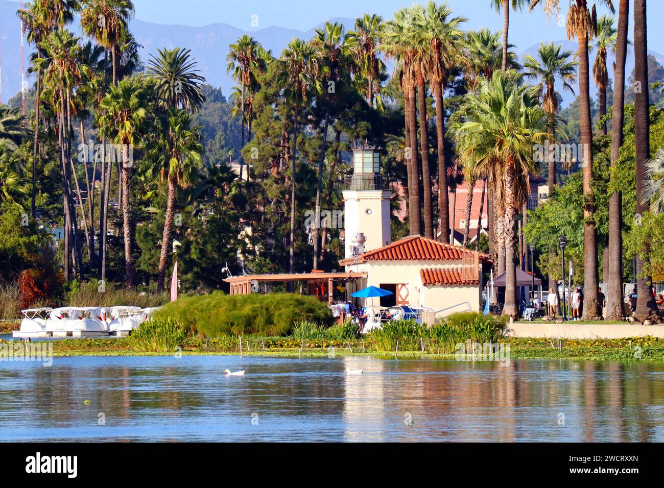Los Angeles, California: Echo Park Lake, lake and urban park in the ...