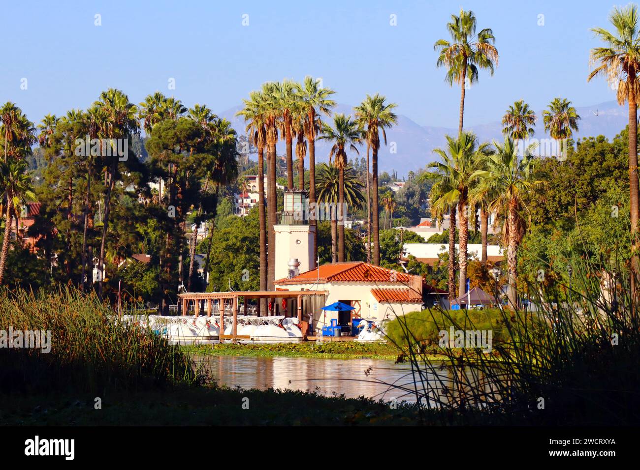 Los Angeles, California: Echo Park Lake, lake and urban park in the ...