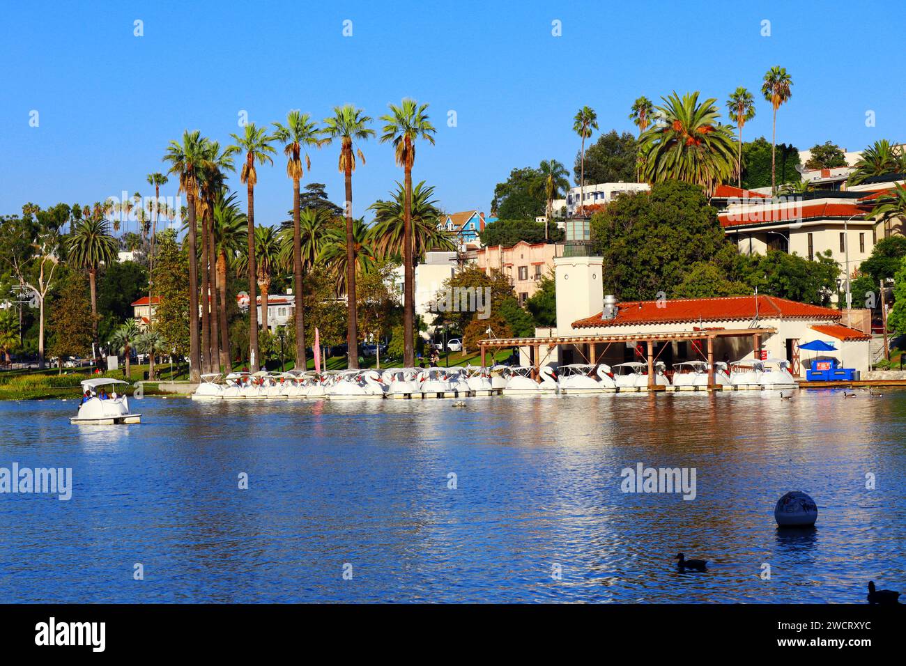 Los Angeles, California: Echo Park Lake, lake and urban park in the ...