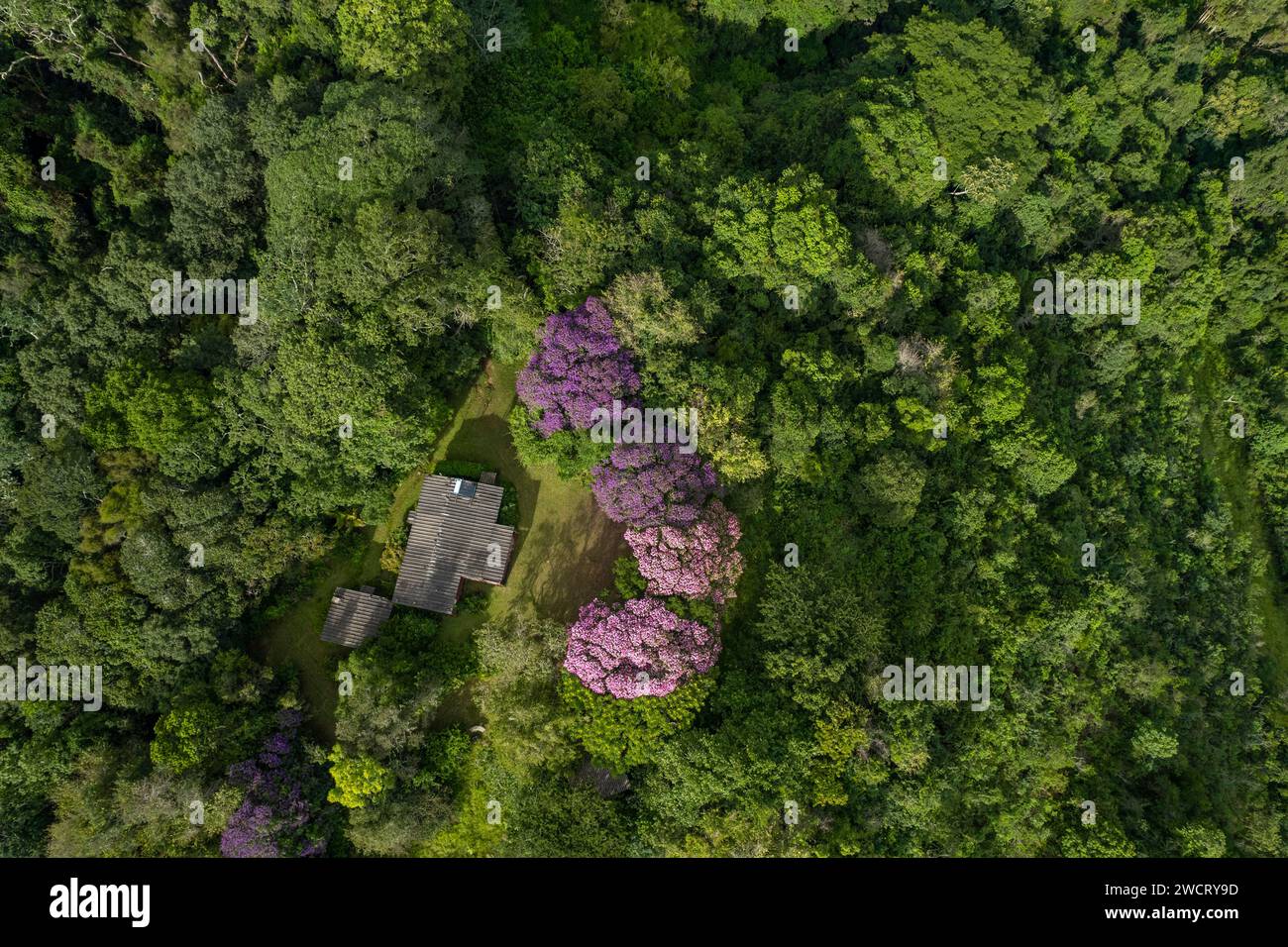 An aerial view of the Bvumba mountains in Zimbabwe's Eastern highlands ...