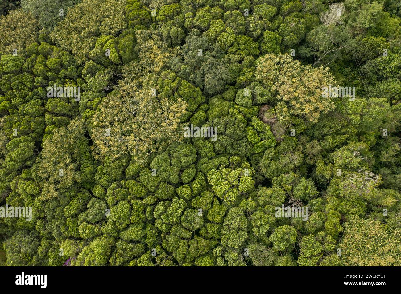 An aerial view of the Bvumba mountains in Zimbabwe's Eastern highlands ...