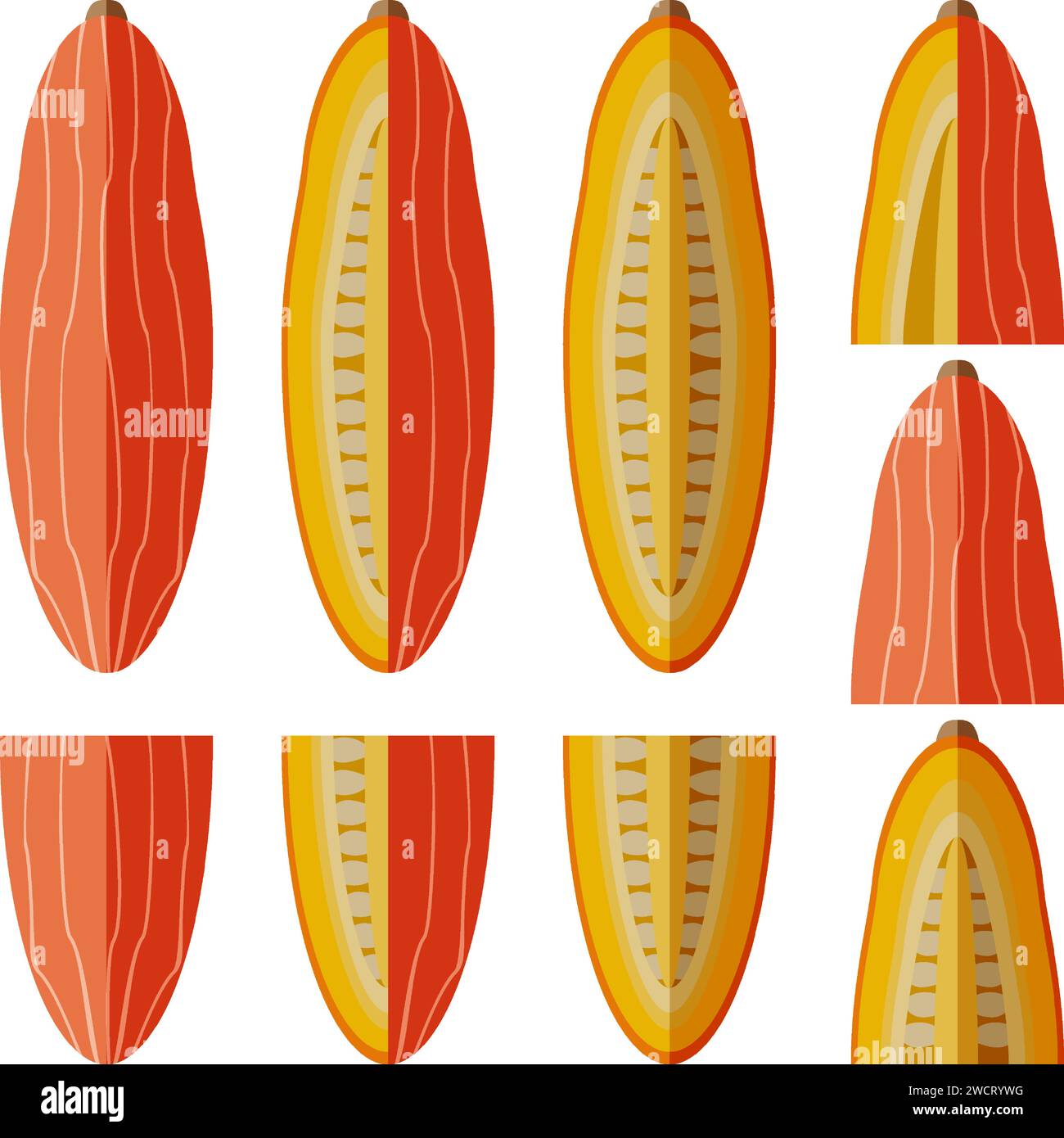 Set of Pink Jumbo Banana Squash Pumpkin Winter squash. Cucurbita maxima ...