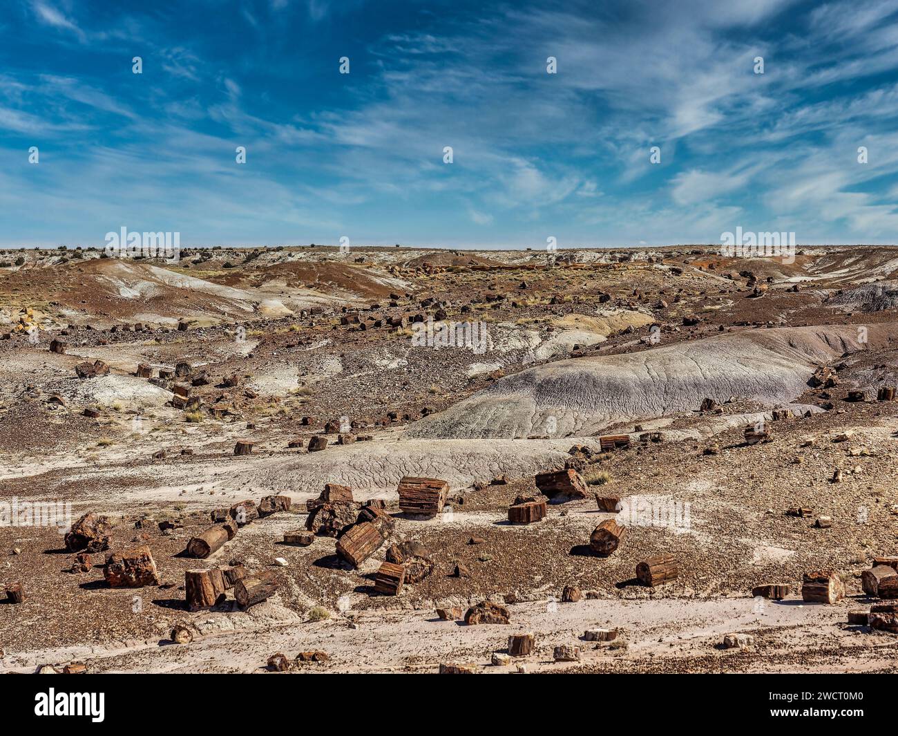 Petrified rocks from Petrified Forest near Holbrook Arizona, USA Stock ...
