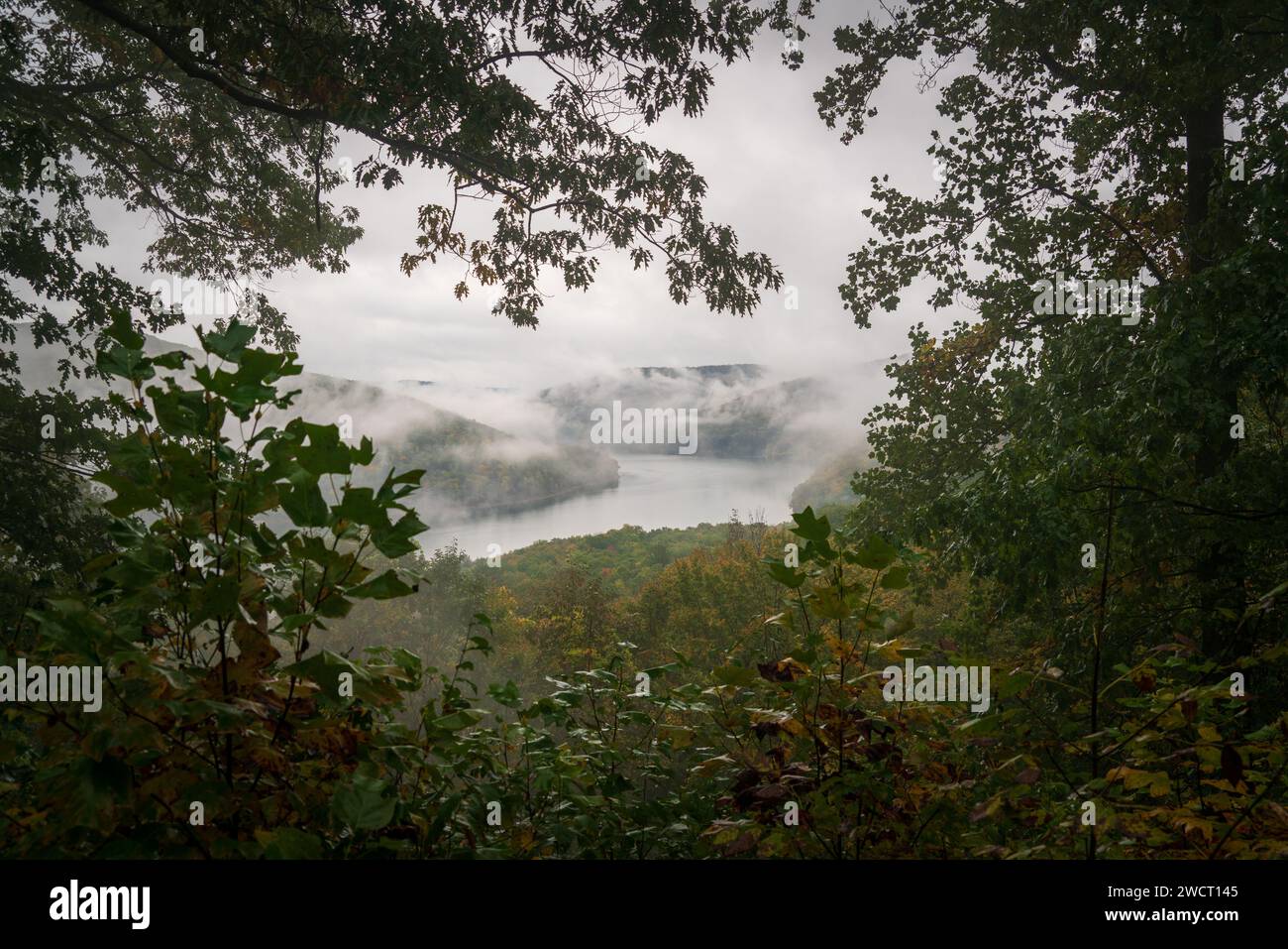 Allegheny National Forest Overlook of the Allegheny River in ...