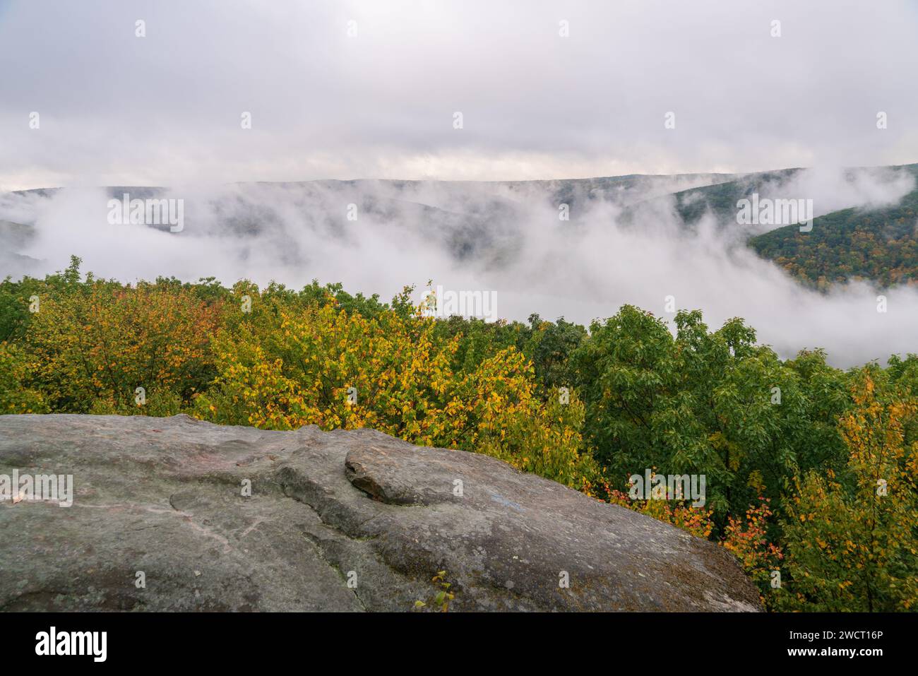 Allegheny National Forest Overlook of the Allegheny River in ...