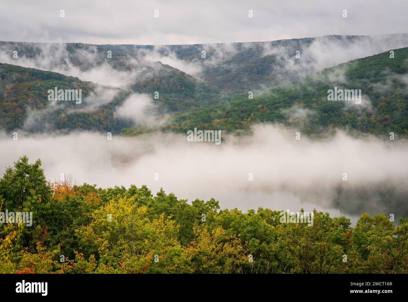 Allegheny national forest trails hi-res stock photography and images ...