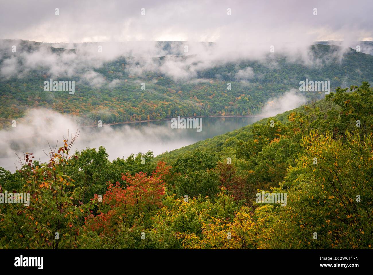 Allegheny national forest trails hi-res stock photography and images ...