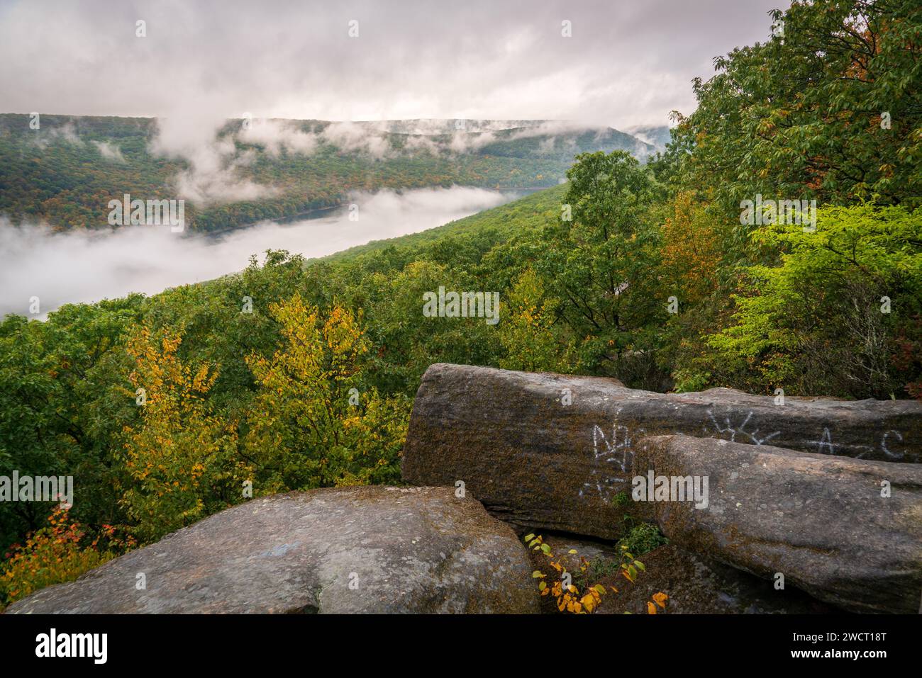 Allegheny National Forest Overlook of the Allegheny River in ...