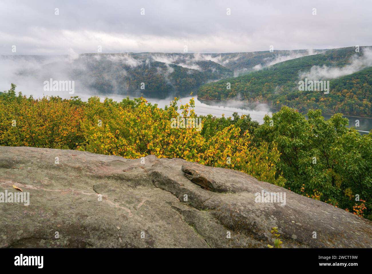 Allegheny National Forest Overlook of the Allegheny River in ...