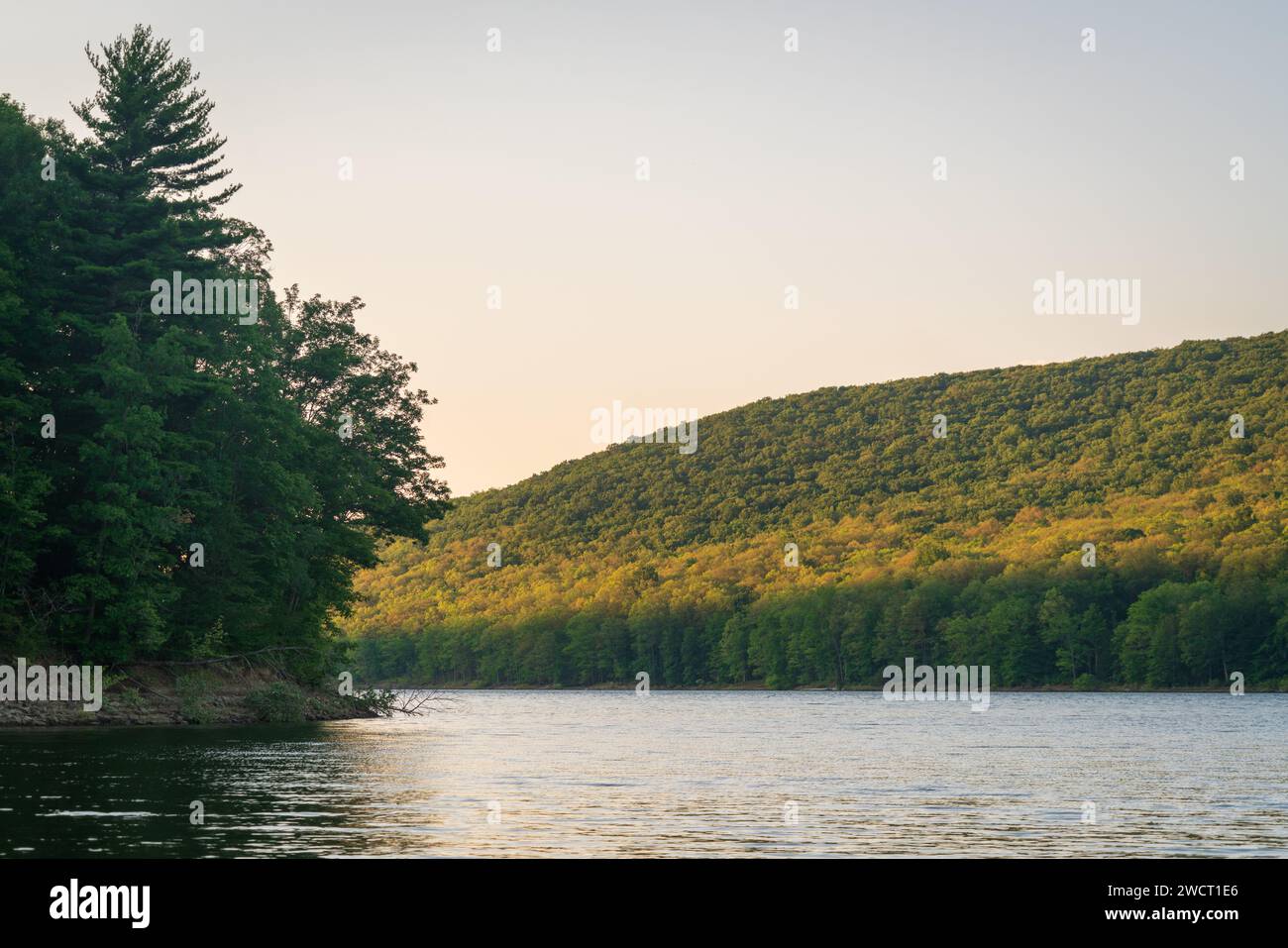 Allegheny National Forest Overlook of the Allegheny River in Pennsylvania, USA Stock Photo - Alamy