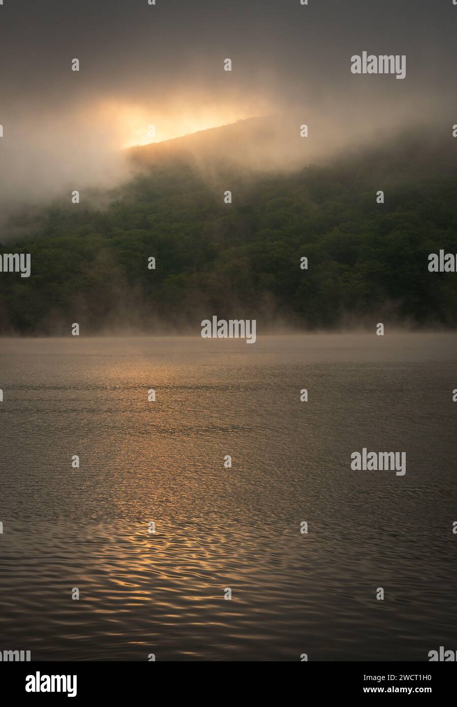 Allegheny National Forest Overlook of the Allegheny River in ...
