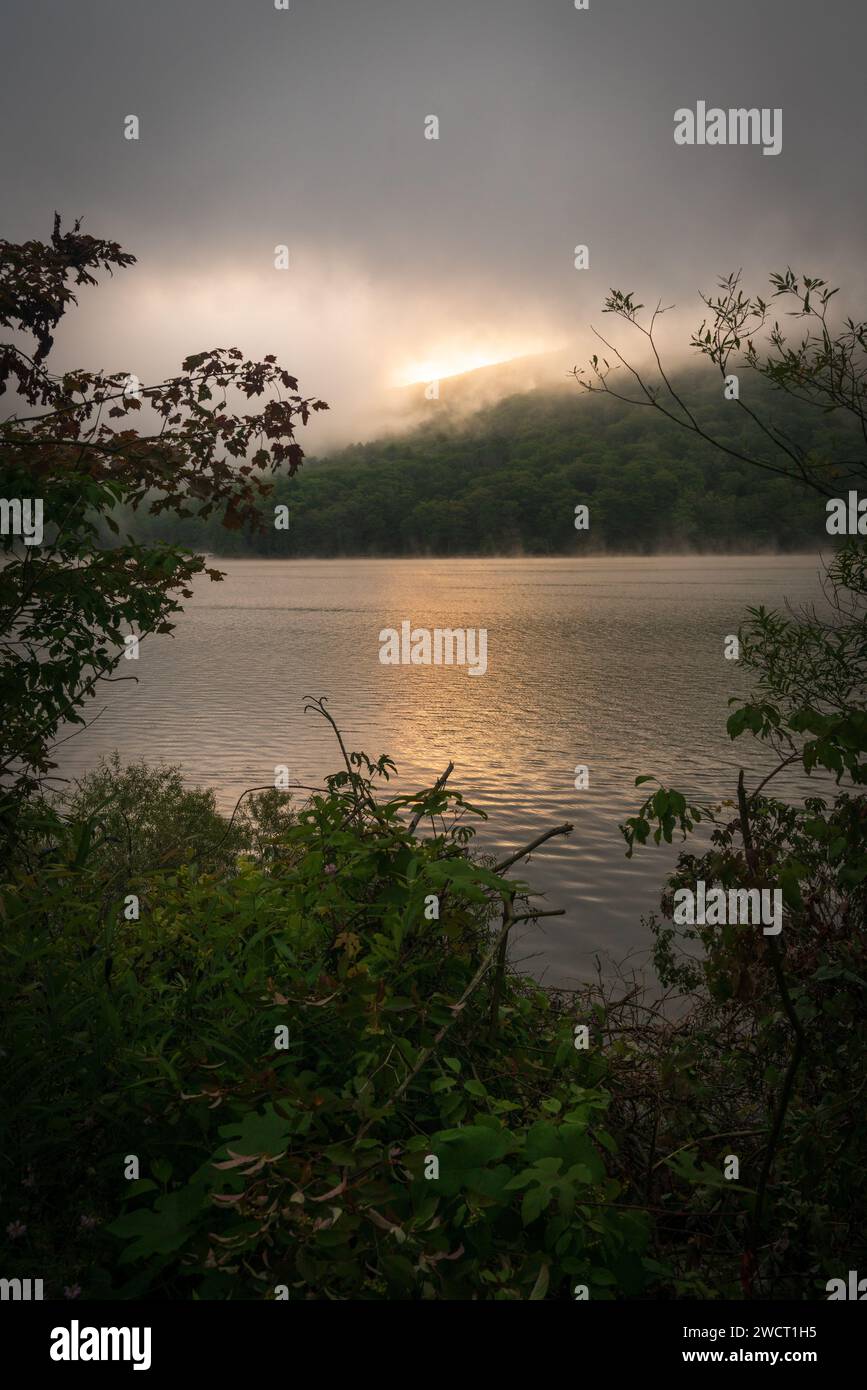 Allegheny National Forest Overlook of the Allegheny River in ...