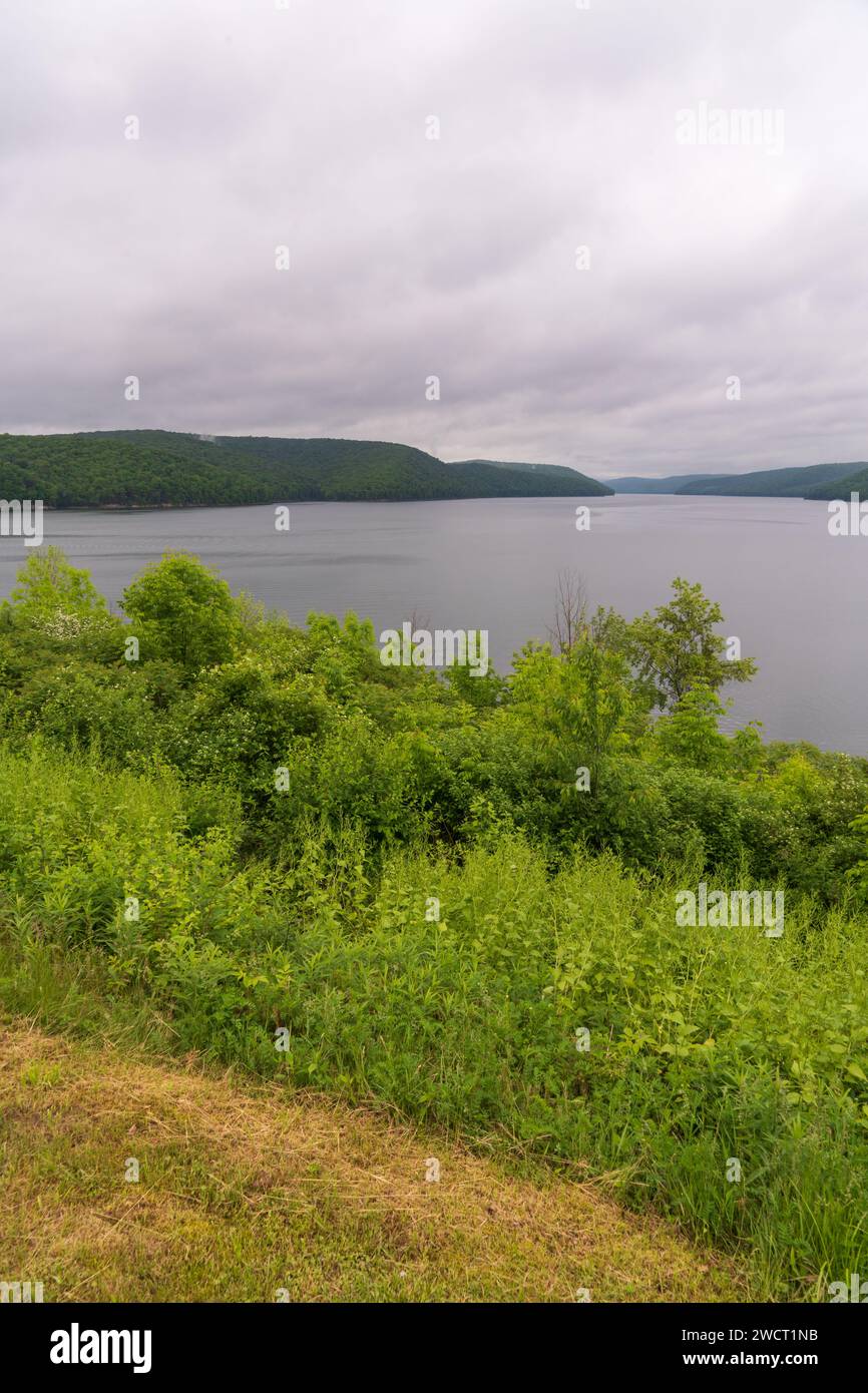 Allegheny National Forest Overlook of the Allegheny River in ...