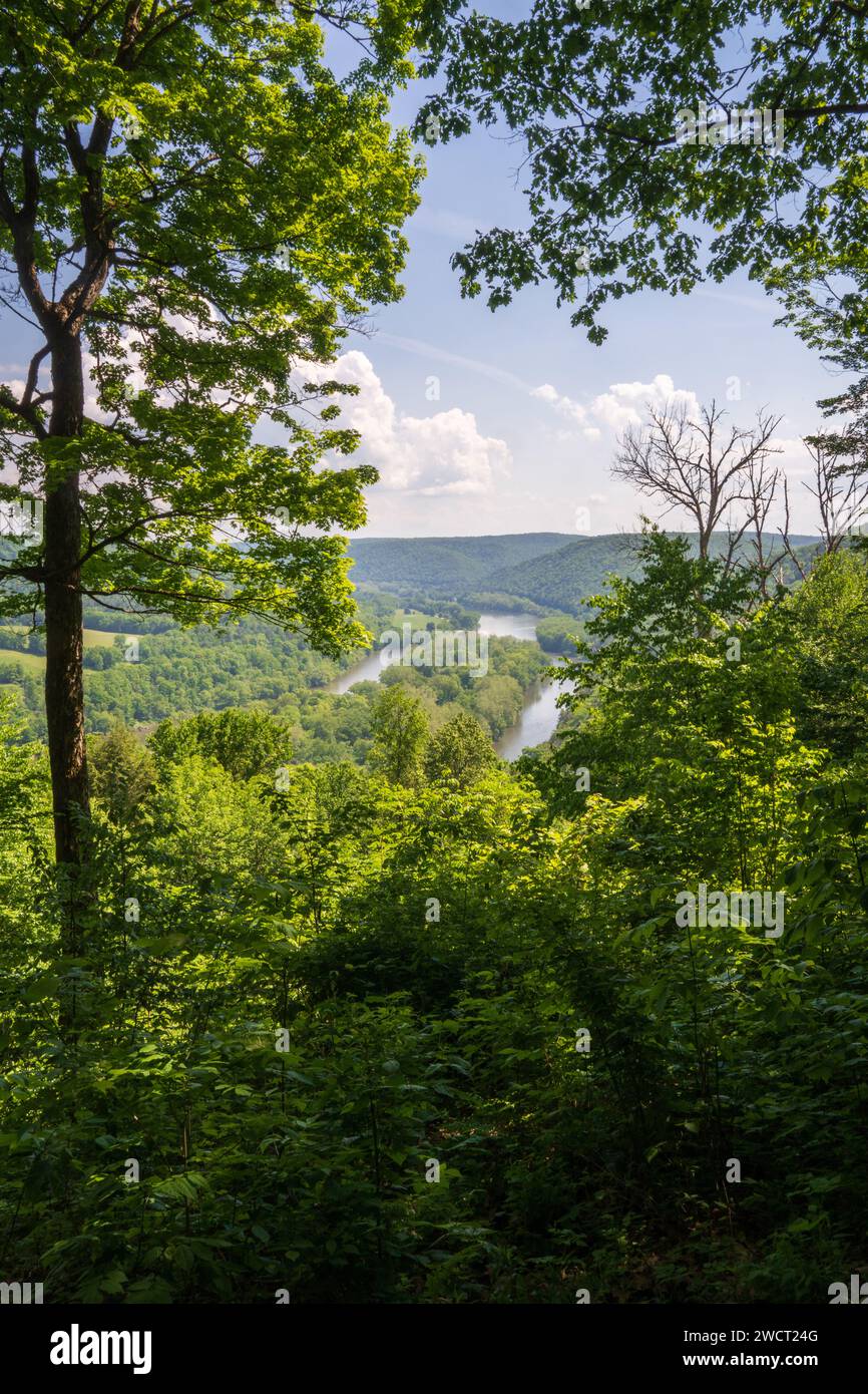 Allegheny National Forest Overlook of the Allegheny River in ...