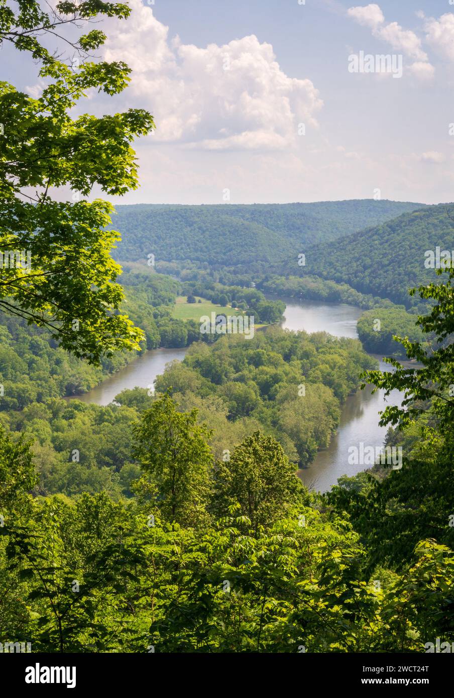 Allegheny National Forest Overlook of the Allegheny River in ...