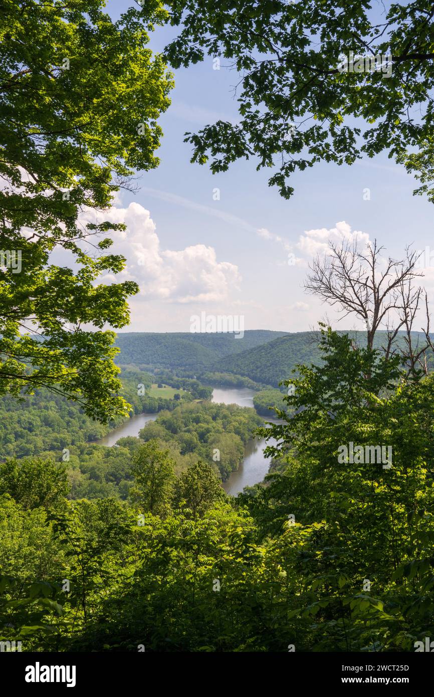 Allegheny National Forest Overlook of the Allegheny River in ...