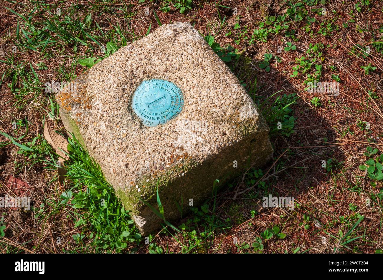 Allegheny National Forest Wheeler Fire Tower Stock Photo - Alamy
