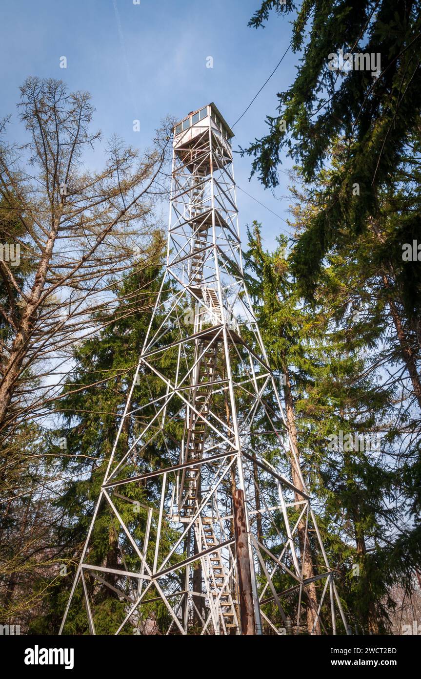 Allegheny National Forest Wheeler Fire Tower Stock Photo - Alamy