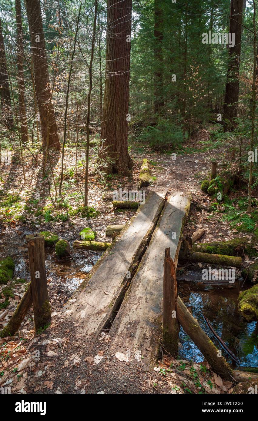 Allegheny national forest trails hi-res stock photography and images ...