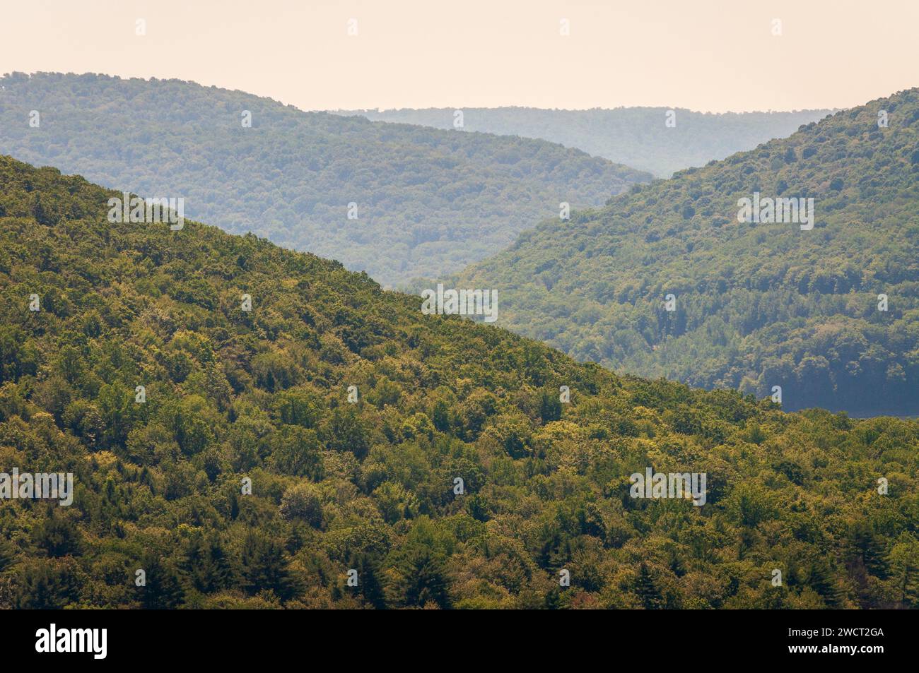 A Hazy Overlook View at Allegheny National Forest Stock Photo - Alamy