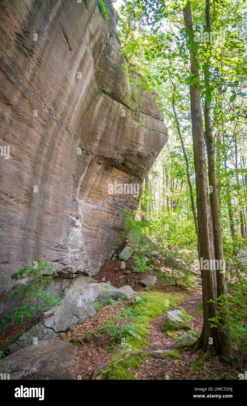 Massive Boulders at Rimrock in the Allegheny National Forest Stock ...