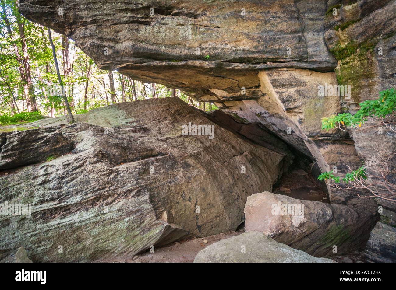 Massive Boulders at Rimrock in the Allegheny National Forest Stock ...