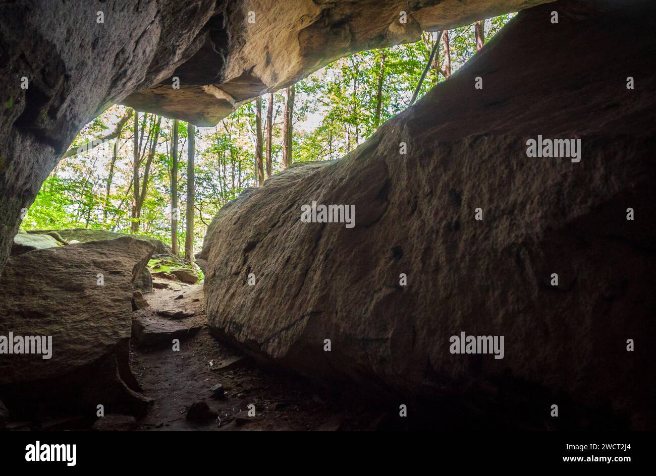 Massive Boulders at Rimrock in the Allegheny National Forest Stock ...