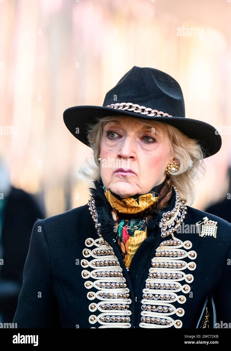 Fiona Shackleton / Baroness Shackleton of Belgravia - solicitor and ...