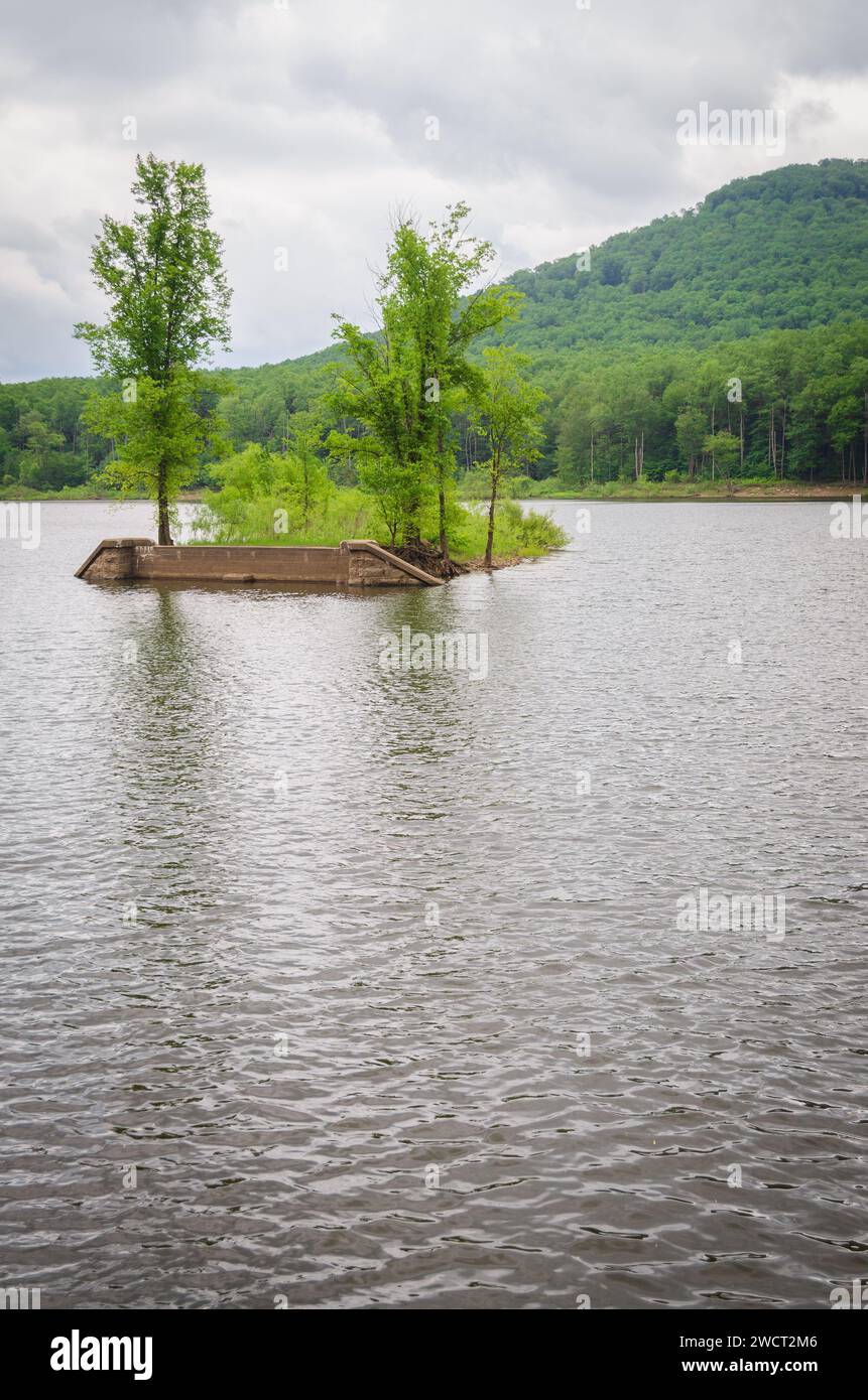 Allegheny National Forest Overlook of the Allegheny River in ...