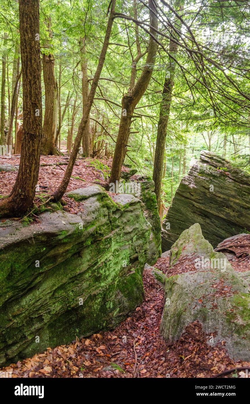 Massive Boulders at Rimrock in the Allegheny National Forest Stock ...