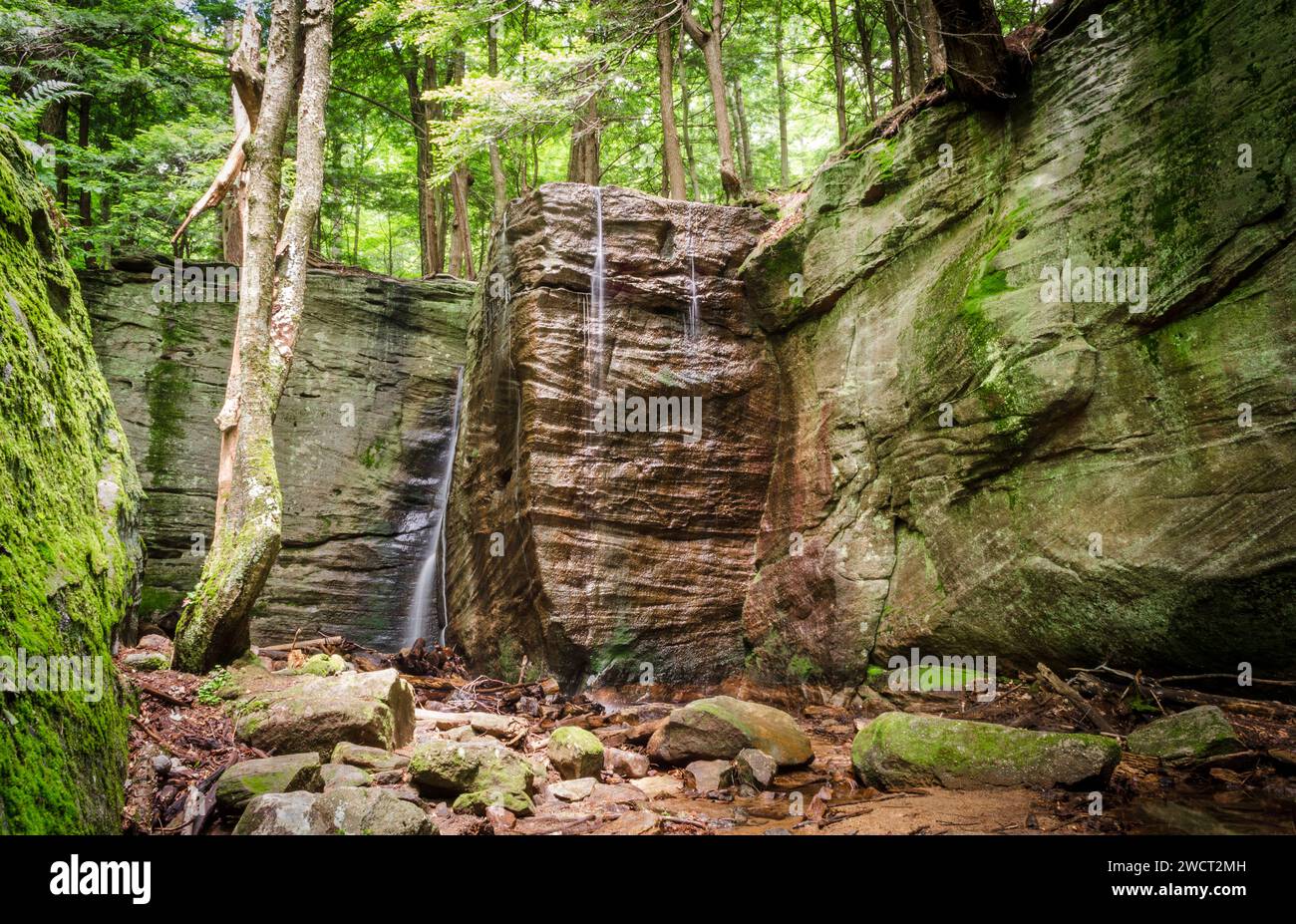 Massive Boulders at Rimrock in the Allegheny National Forest Stock ...